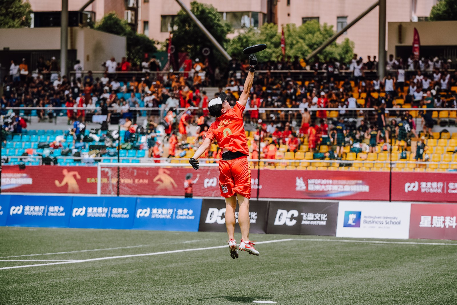 城中新鲜事0803-0809