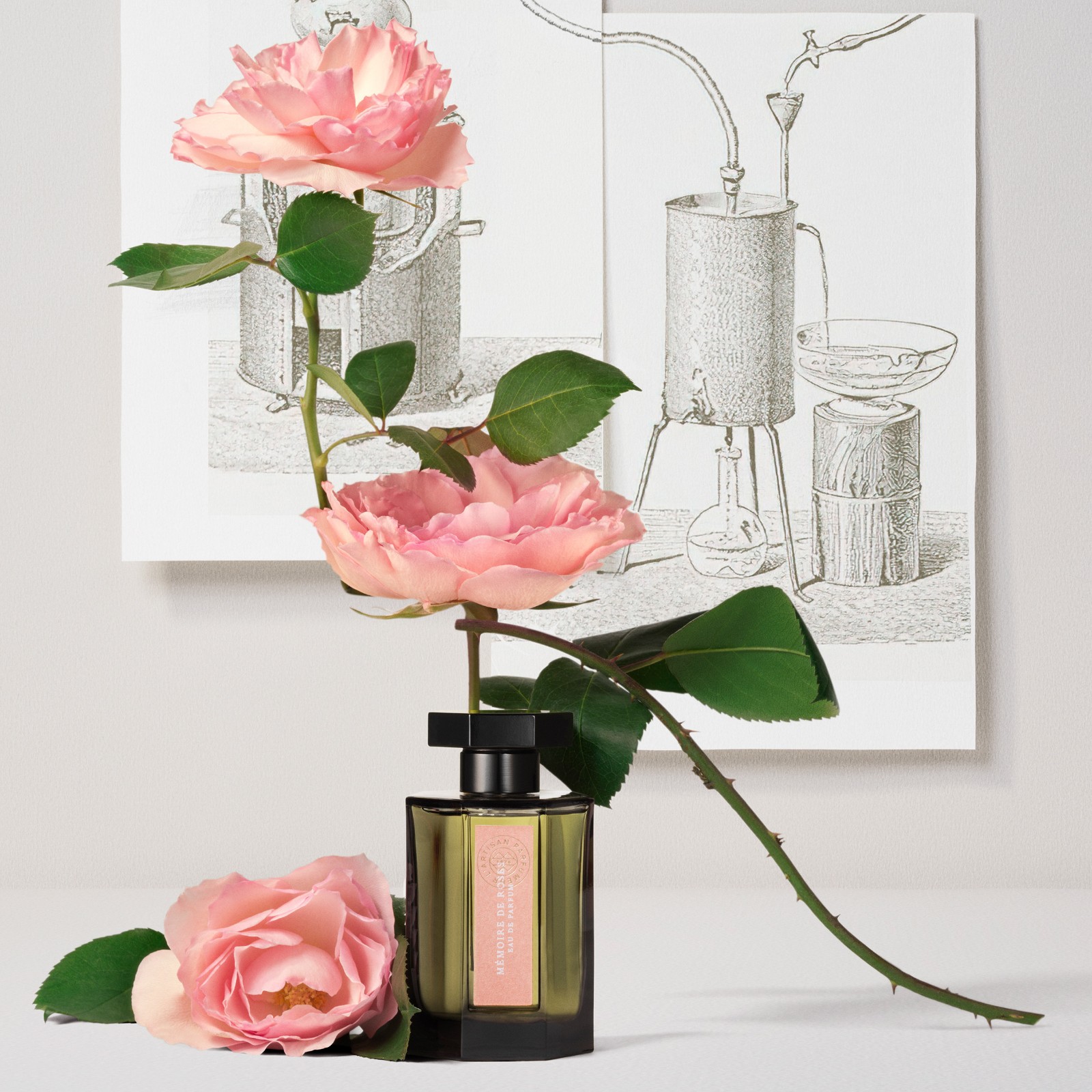 鲜播报 | 恭贺新禧