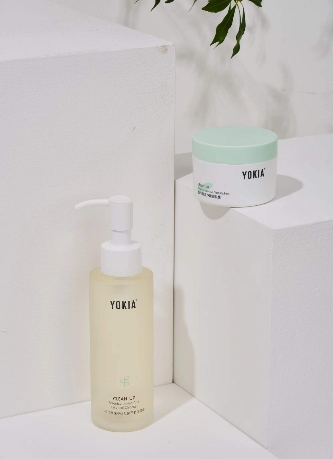 美研所 | 这个情人节，你有一份爱的礼物清单请查收