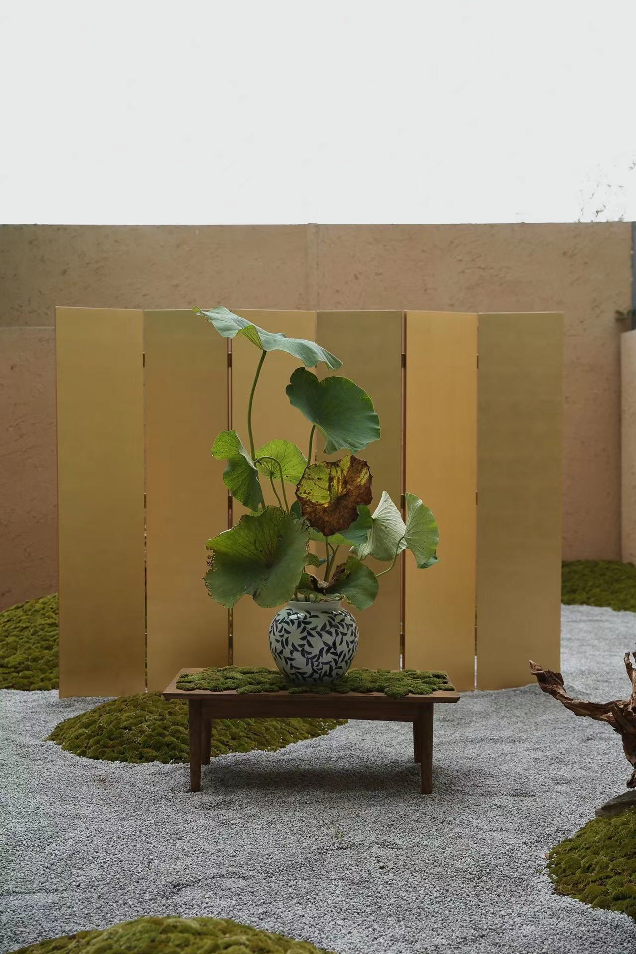 植觉时刻：畅想共生未来