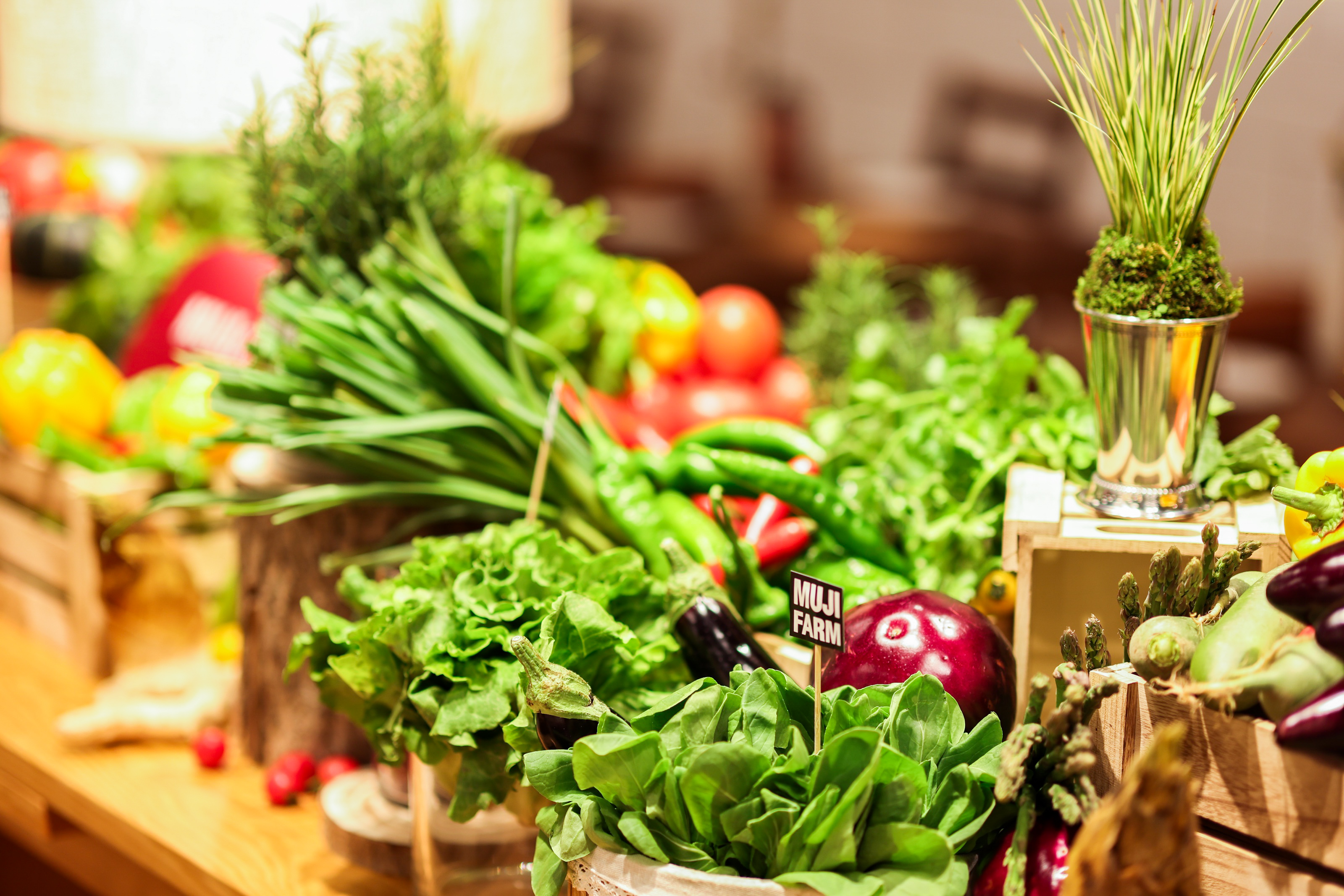 周末好生活：绿柳拂面，窗外现新意