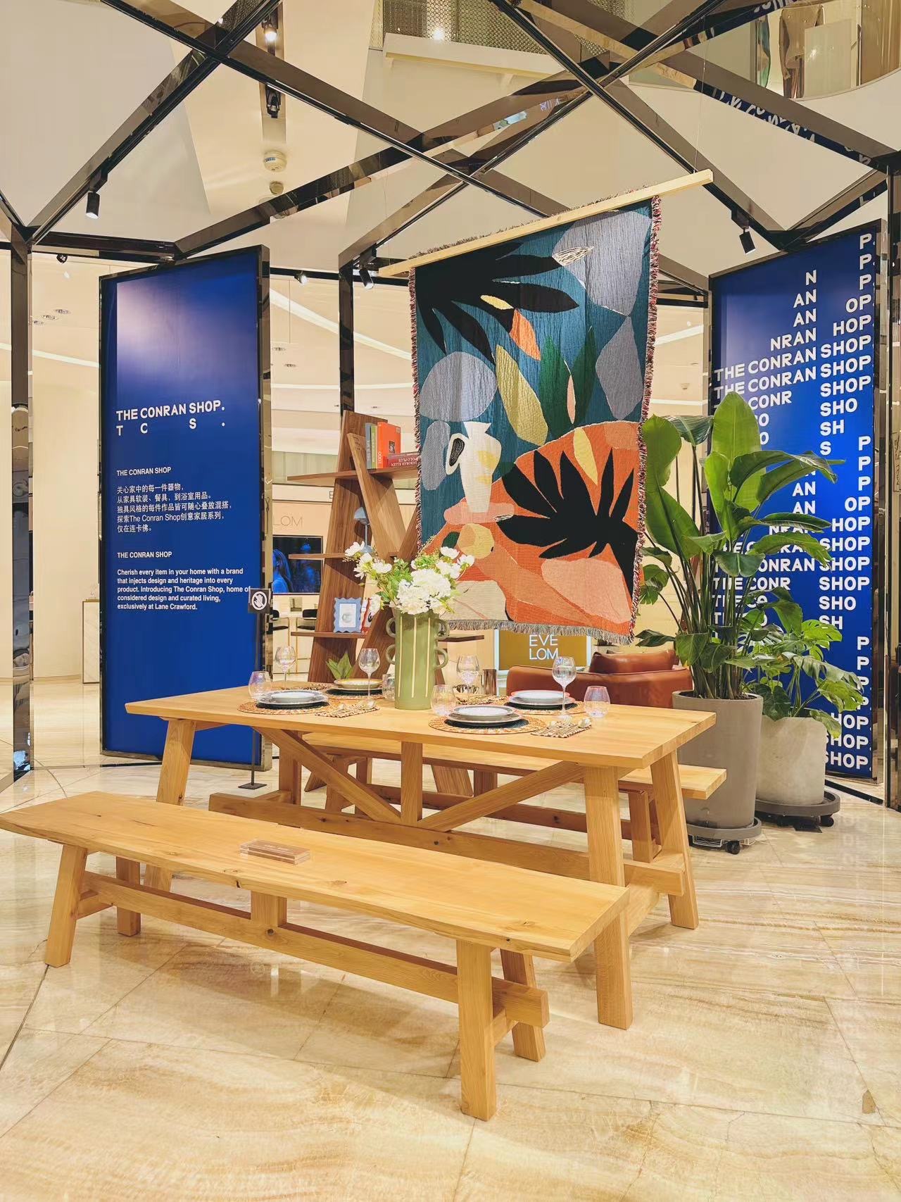 周末好生活：都市一隅，蔷薇绽放