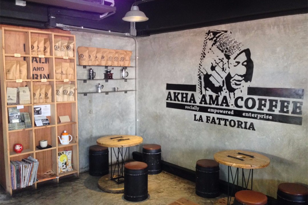 也许咖啡，便是这朵泰北玫瑰的独特香气