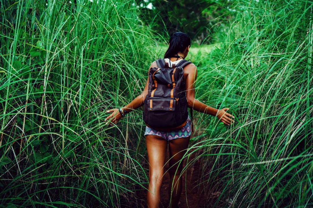 春日徒步旅行，享受自然的超凡之美