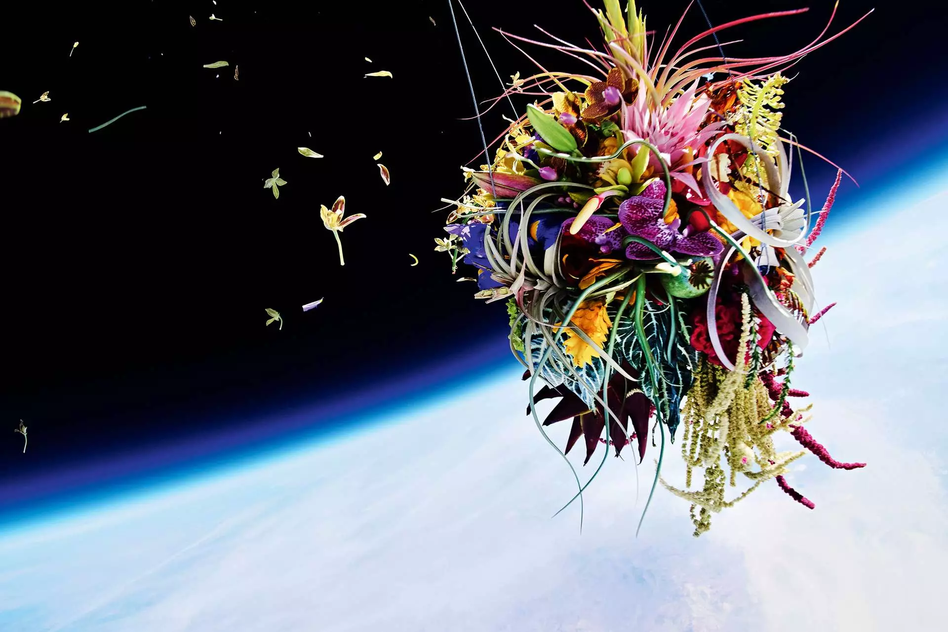 人人都爱的“花花世界”，是春天给我们的治愈剂